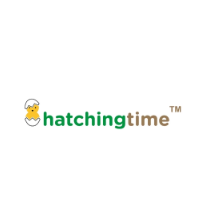 Hatching Time Coupons And Promo Codes | TheSmartUse